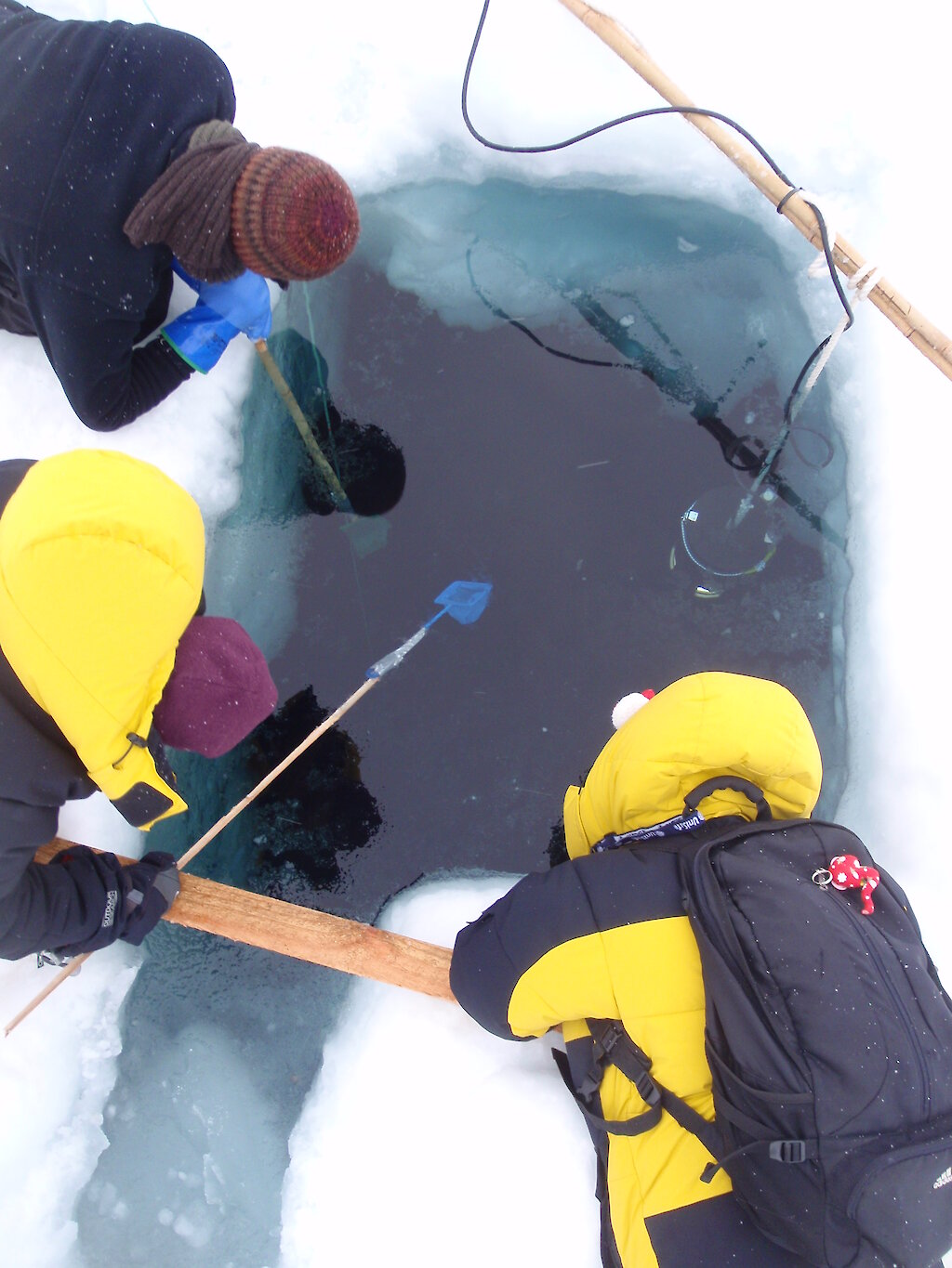 New ways to catch krill — Australian Antarctic Program