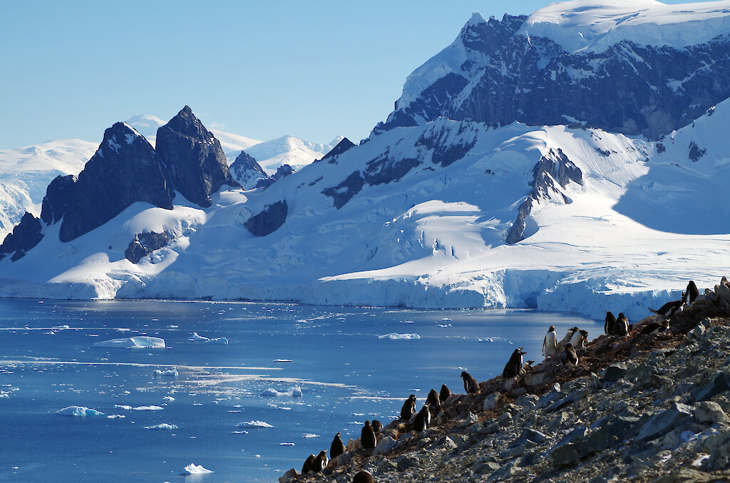 Twenty five years of the Protocol on Antarctic environmental protection ...