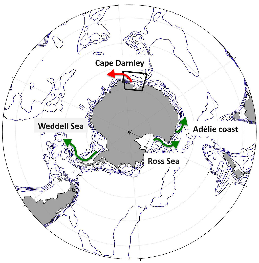 Seals get to the source of Antarctic Bottom Water — Australian ...