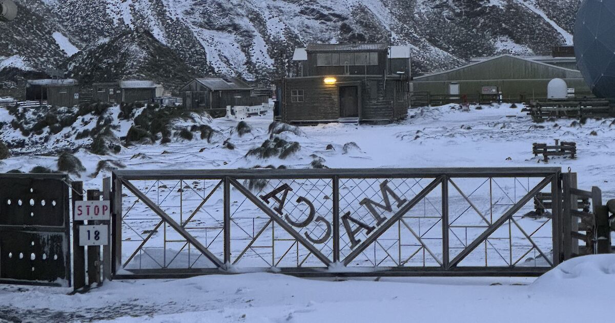 Macquarie Island research station – Australian Antarctic Program