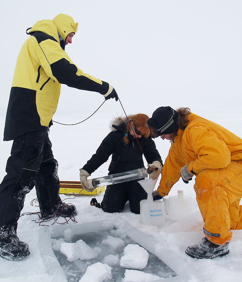 Scientific samples – Australian Antarctic Program