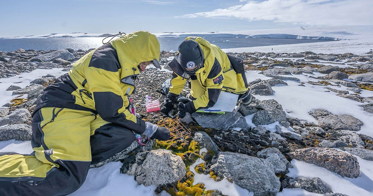 About us – Australian Antarctic Program