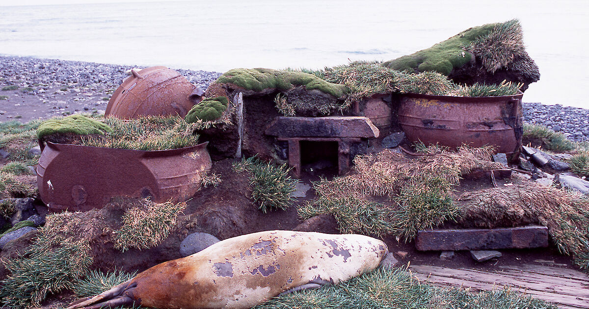 Sealers’ ships immortalised on remote Heard Island – Australian ...