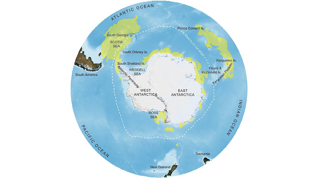 Antarctic marine predators tracked to Areas of Ecological Significance ...