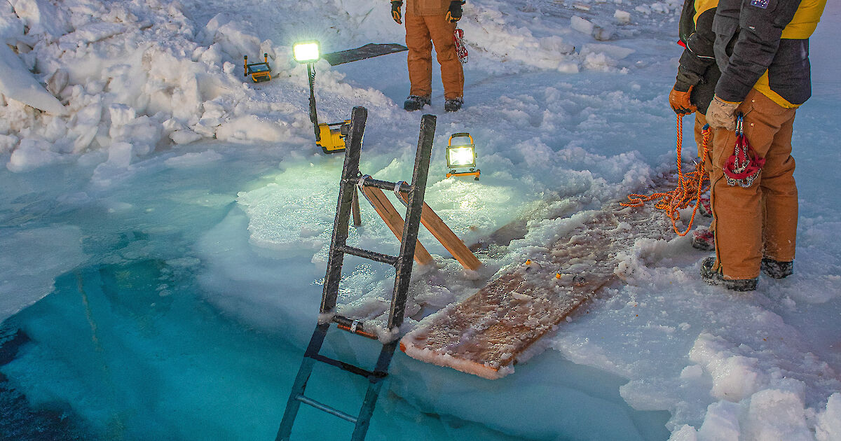 Antarctic expeditioners mark midwinter with subzero swim – Australian ...