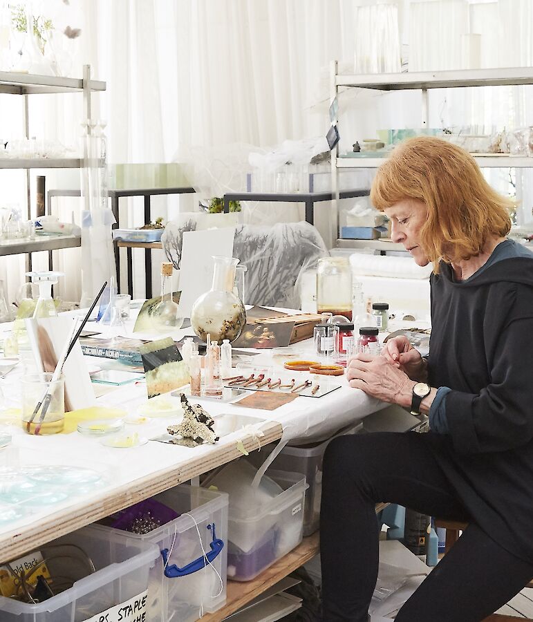 Rediscovering Casey research station through the lens of art ...