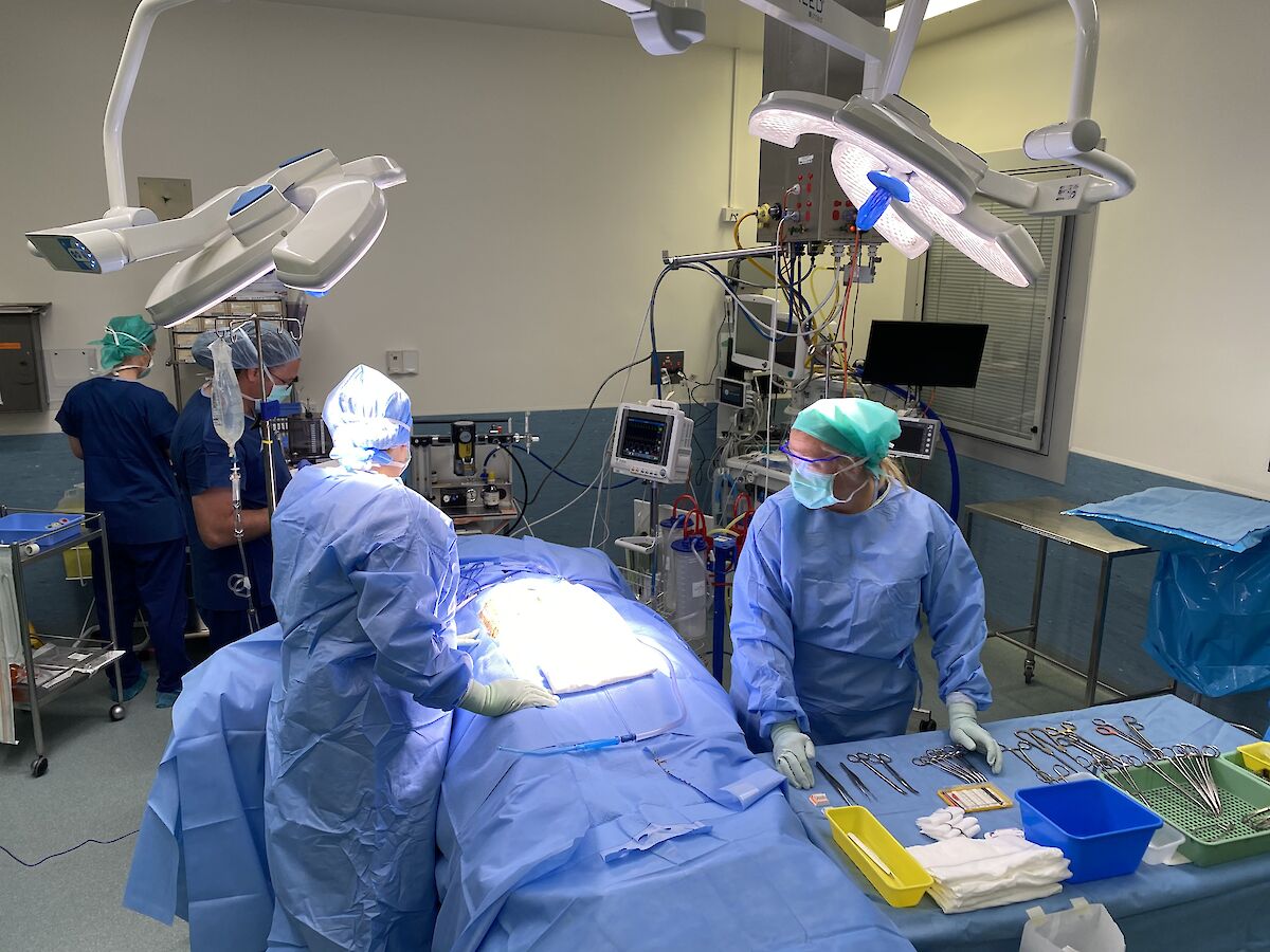 Antarctic tradies in training for medical emergencies – Australian ...