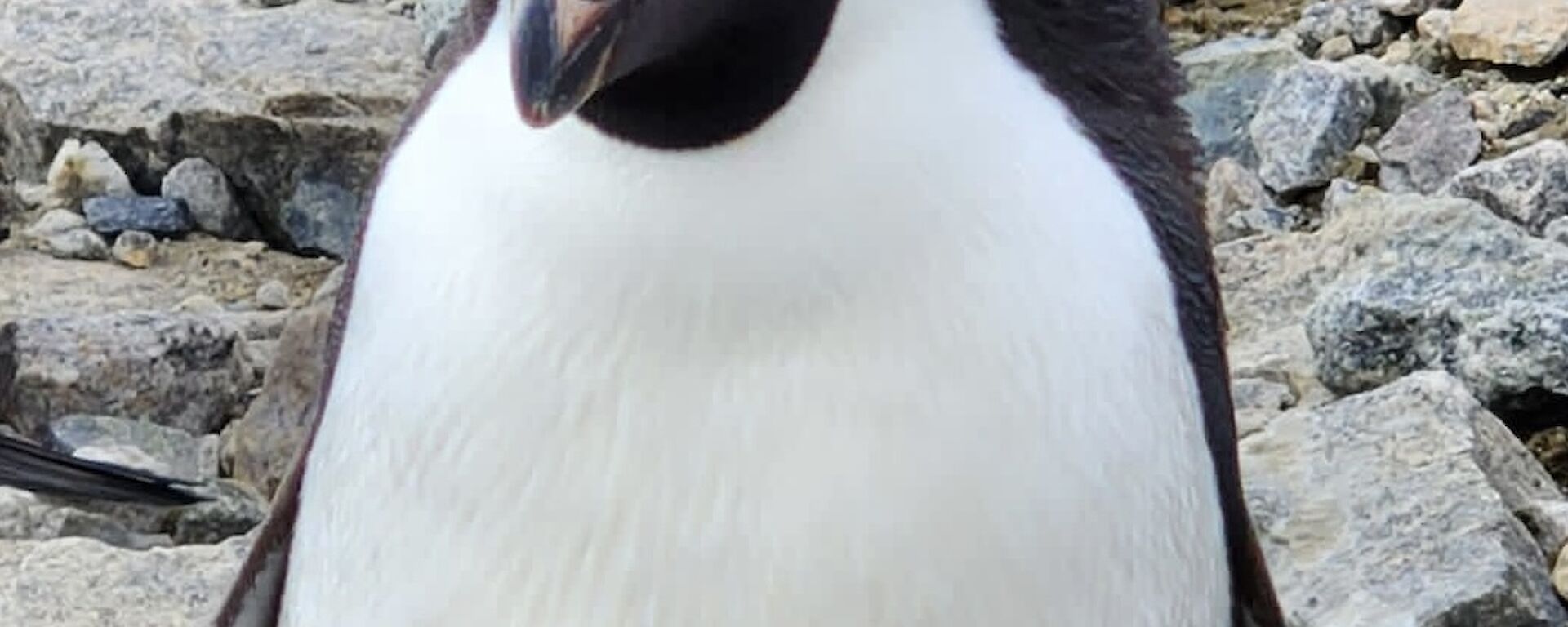 This Week at Casey: 21 April 2023 – Australian Antarctic Program