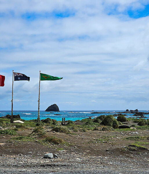 This week at Macquarie Island: 15 December 2023 – Australian Antarctic ...