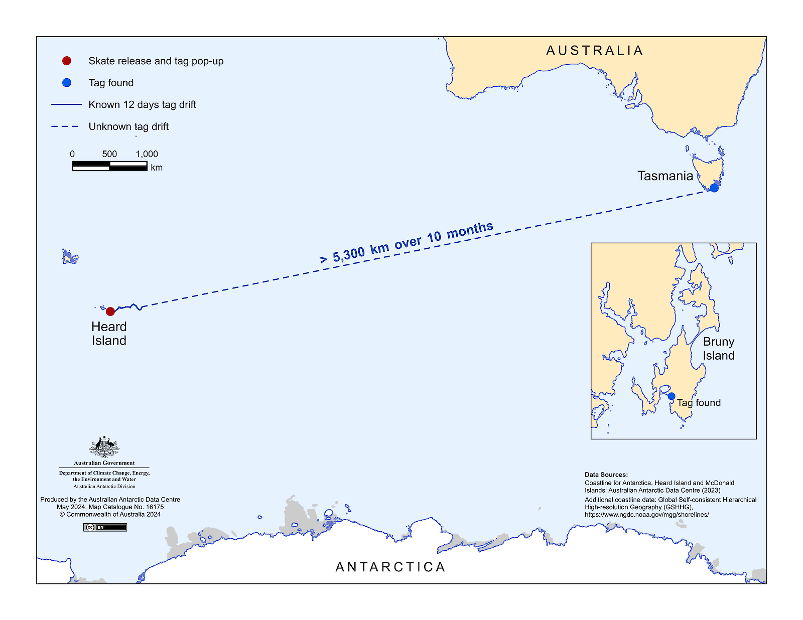 Message in a satellite tag – Australian Antarctic Program (News 2024)