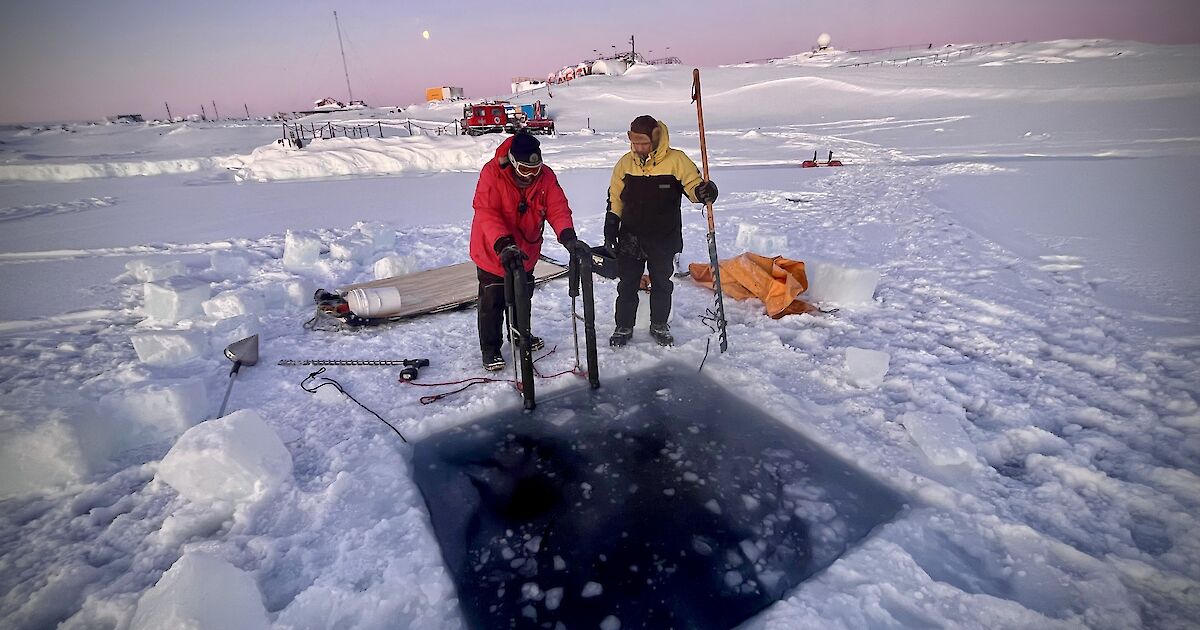 Antarctic Expeditioners Celebrate Midwinter Turn, 21 June 2024 | Mirage ...