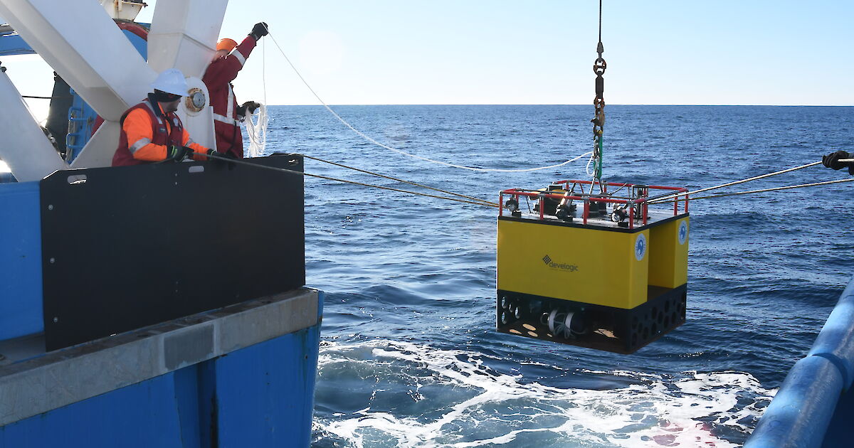 Sinking Tops Swimming on Southern Ocean Carbon Path | Mirage News
