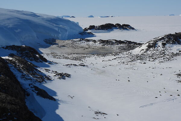 Station updates – Australian Antarctic Program