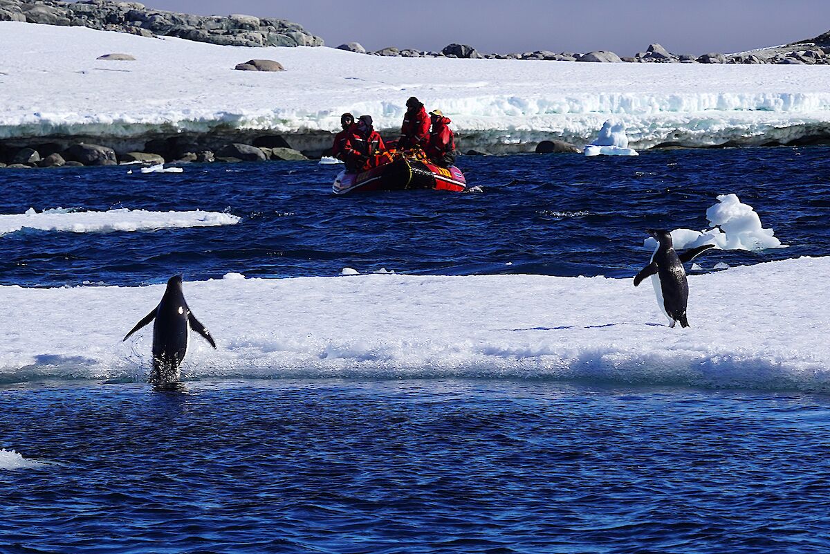 This week at Casey: 7 February 2025 – Australian Antarctic Program